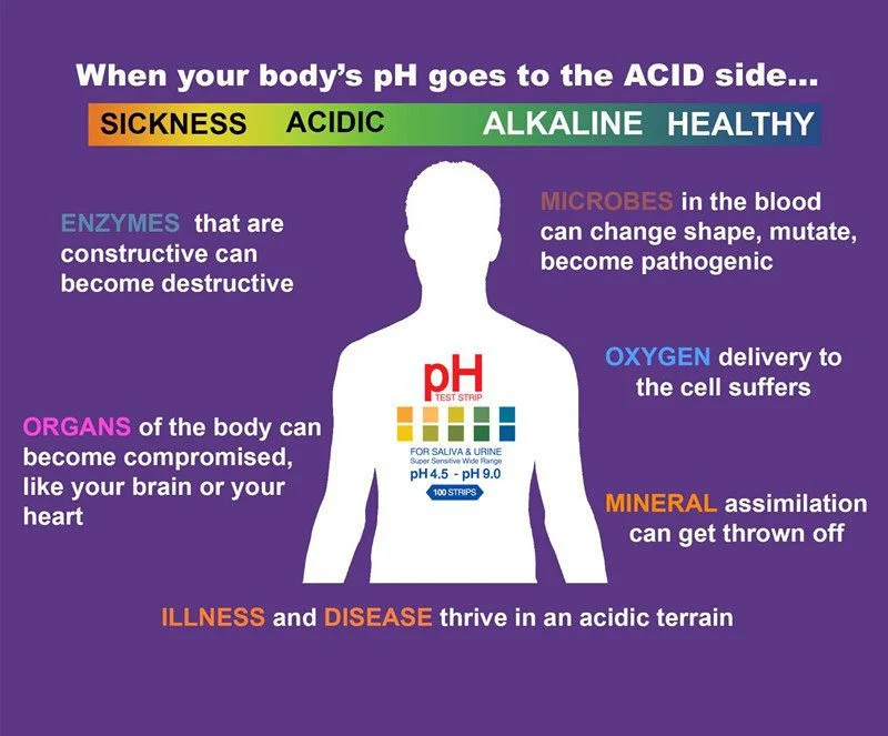 Human Body Ph Balance Chart